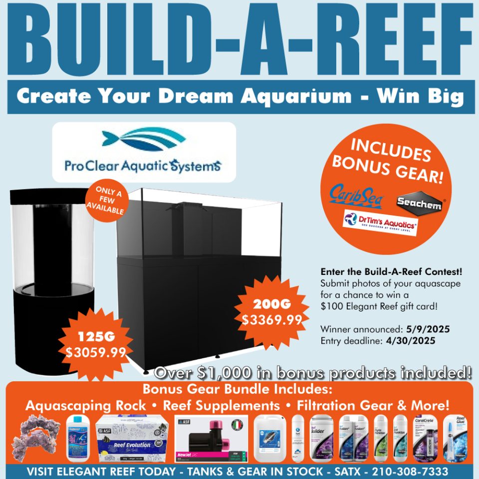 Elegant Reef – Tropical Fish Studio – San Antonio's Premier Tropical ...
